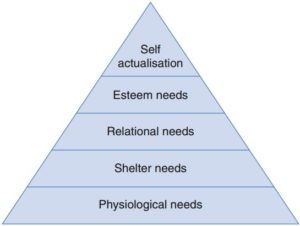 Maslow’s Hierarchy of Needs | Sample Essay | 15 Writers